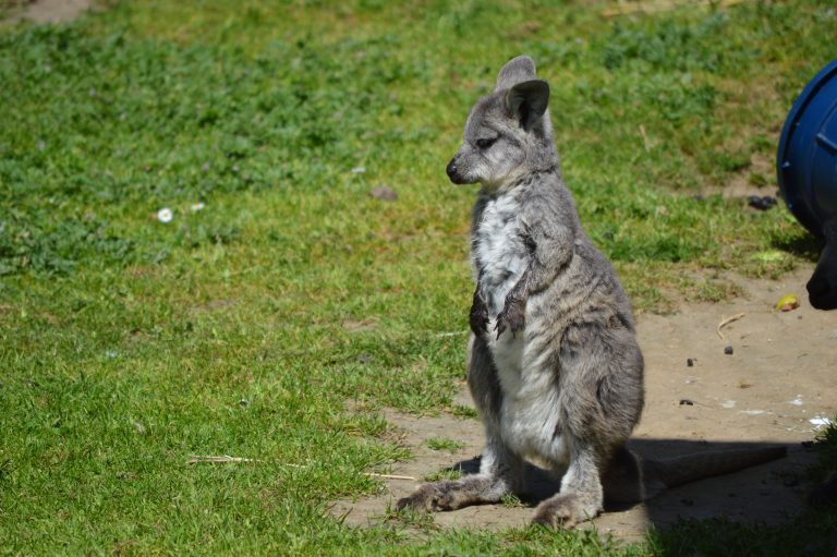 Southern Oregon Magazine